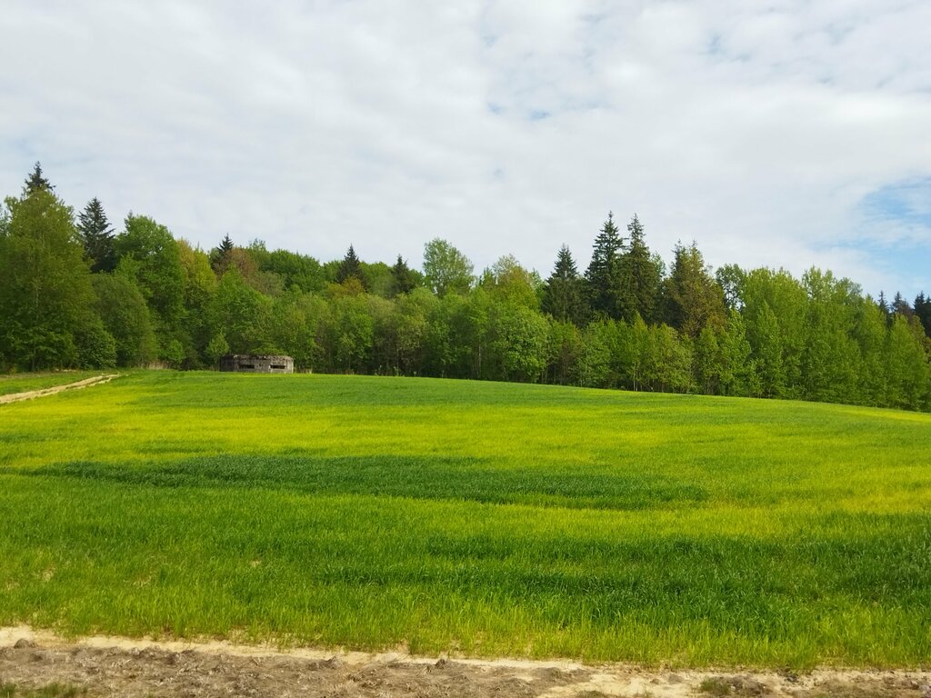 Turistik yerler ДОТ линии Сталина, Minskaya oblastı, foto