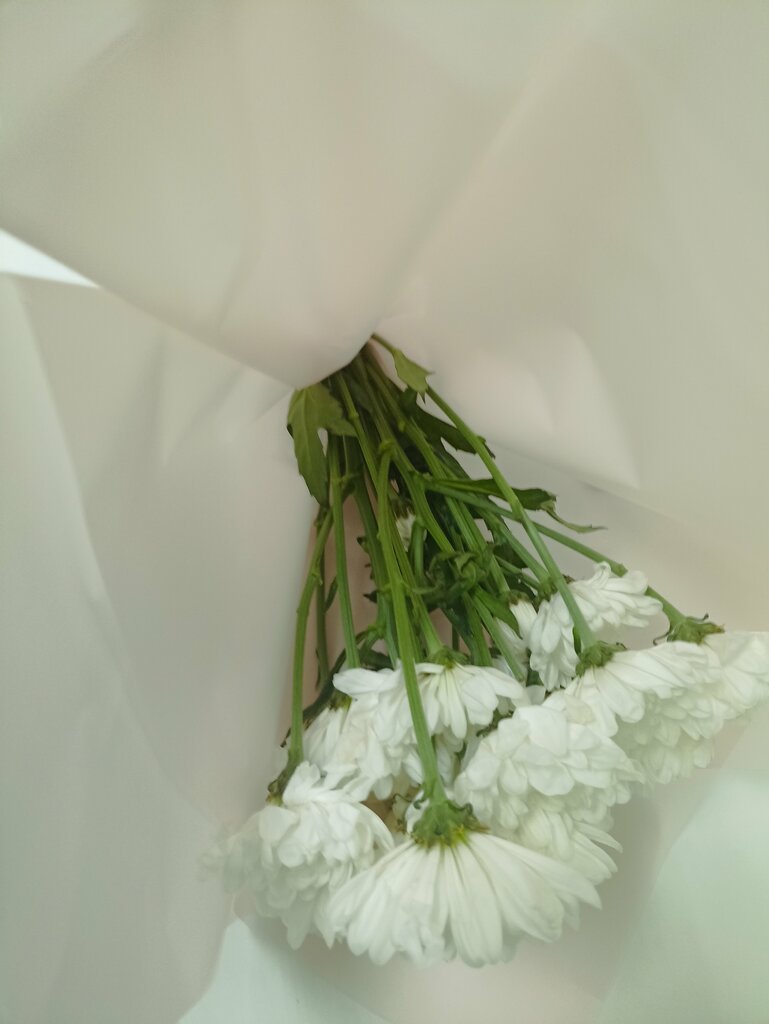 Çiçekçiler Дальроза, Primoriye, foto