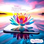 Три&Кита (Севастопольское шоссе No:9, посёлок городского типа Кореиз), elektronik eşya mağazaları  Kırım Cumhuriyeti'nden