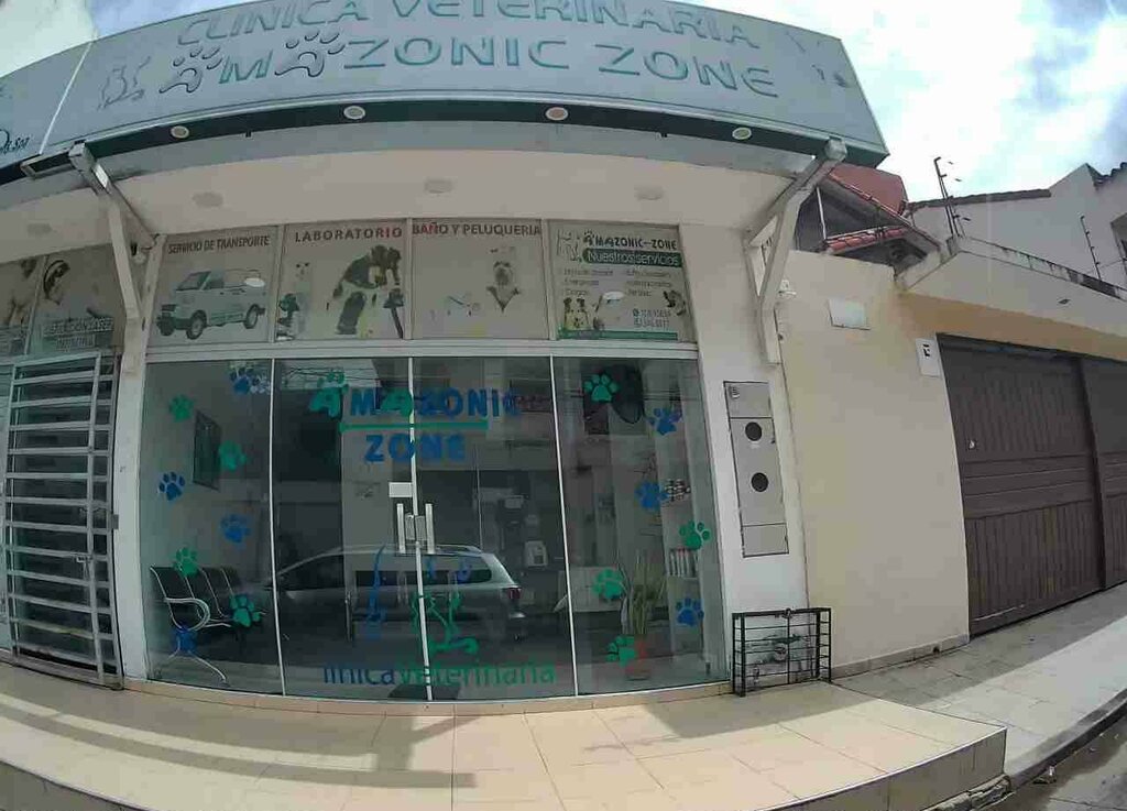 Veteriner klinikleri Amazonic Zone, Santa‑Krus, foto