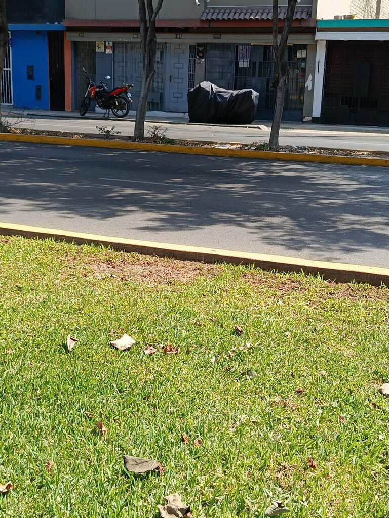 Özel ağız ve diş sağlığı klinikleri ve muayenehaneleri Centro Odontológico Viru, Lima, foto