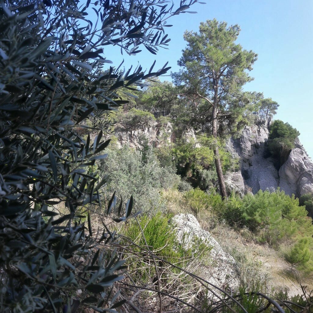 Kafe Gizli Cennet, Fethiye, foto