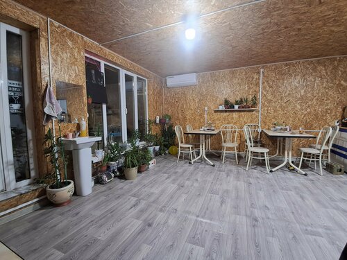 Kafe Soroda, Dağıstan, foto
