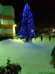 Mbou Shkola № 57 (Sovetskaya ulitsa No:13, selo Novolugovoye), ortaokul  Novosibirskaya oblastından