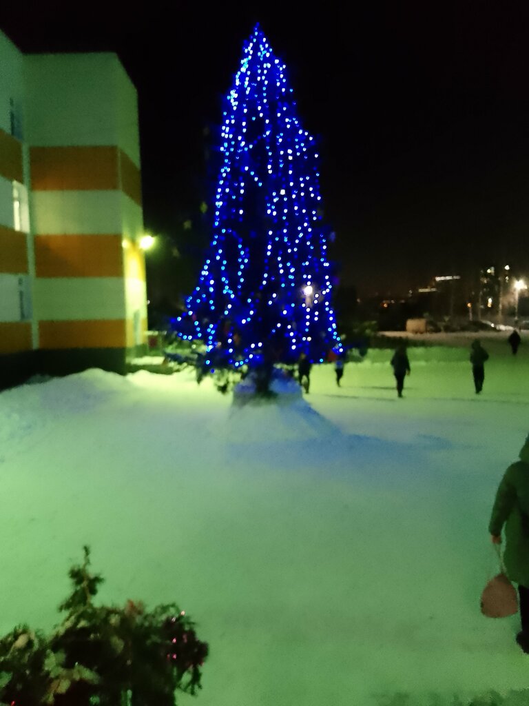 Ortaokul Mbou Shkola № 57, Novosibirskaya oblastı, foto