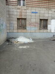 Незабудка (Nikolaya Otrady Street No:1), çiçek teslimatı  Volgograd'dan