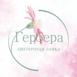 Gerbera 24/7 (Sovetskaya ulitsa No:14А, posyolok gorodskogo tipa Tuchkovo), çiçekçiler  Moskova ve Moskovskaya oblastından
