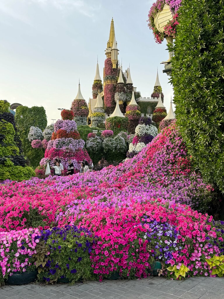 Çiçekçiler Garden Flowers, Sharjah, foto
