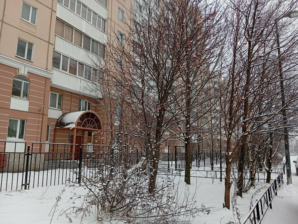 Bina, site yönetimi ТСЖ Большевиков 43, Saint‑Petersburg, foto
