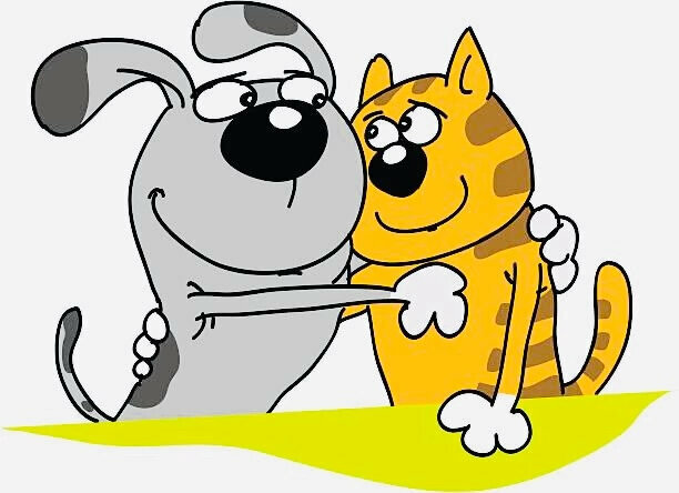 Petshop Вертихвостик, Ruza, foto