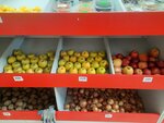 Vegetables and Fruits (ulitsa Abaya No:2, Settlement of Akadyr), manavlar  Karağandı eyaletinden