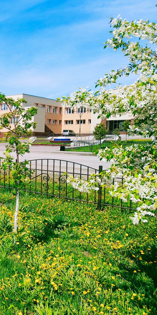 Hava meydanı вертодром Северное, Novosibirskaya oblastı, foto