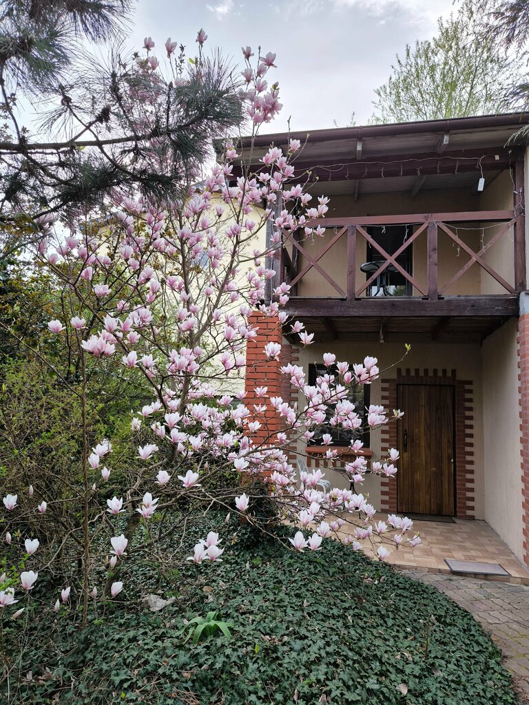 Otel Апартаменты Деревенский дом у моря, Zelenogradsk, foto