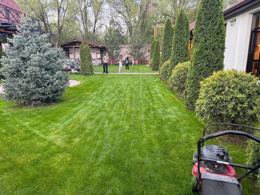 Çocuk gelişim merkezleri VIP & Fly Alatau, Almatı, foto