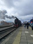 Железнодорожный вокзал (Republic of Karelia, Pitkyarantskiy munitsipalny okrug, posyolok Kharlu), tren garları  Karelya Cumhuriyeti'nden