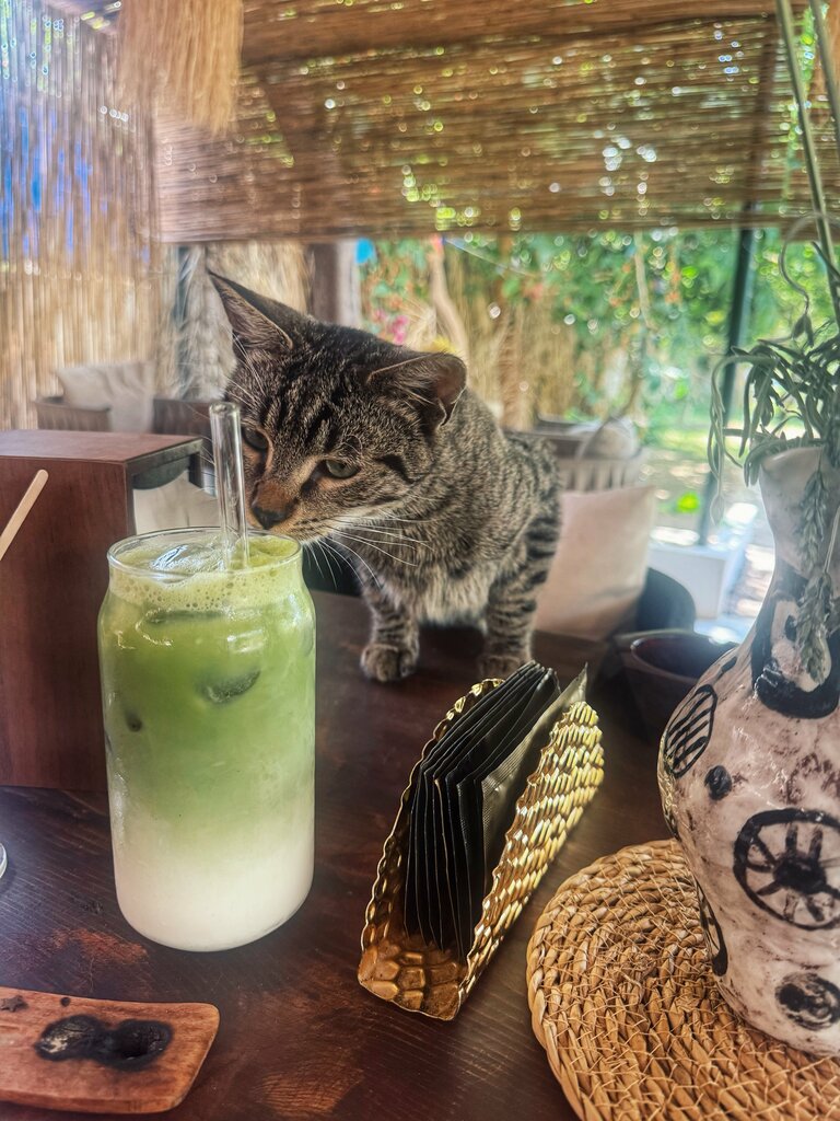 Kafe Secret Garden Cafe, Alanya, foto