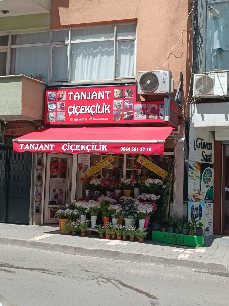 Çiçekçiler Tanjant Çiçekçilik, Ortahisar, foto