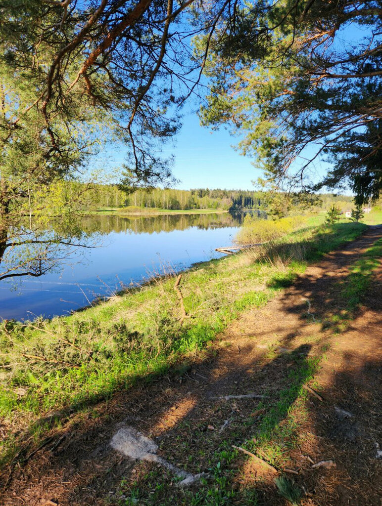 Resort oteller, tesisler Дом у реки, Moskova ve Moskovskaya oblastı, foto