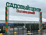 Загородный (Moscow Region, Voskresensk Urban District, Beloozyorskiy, territoriya Otradnaya), sera ve bahçe ürünleri  Belooziorski'den