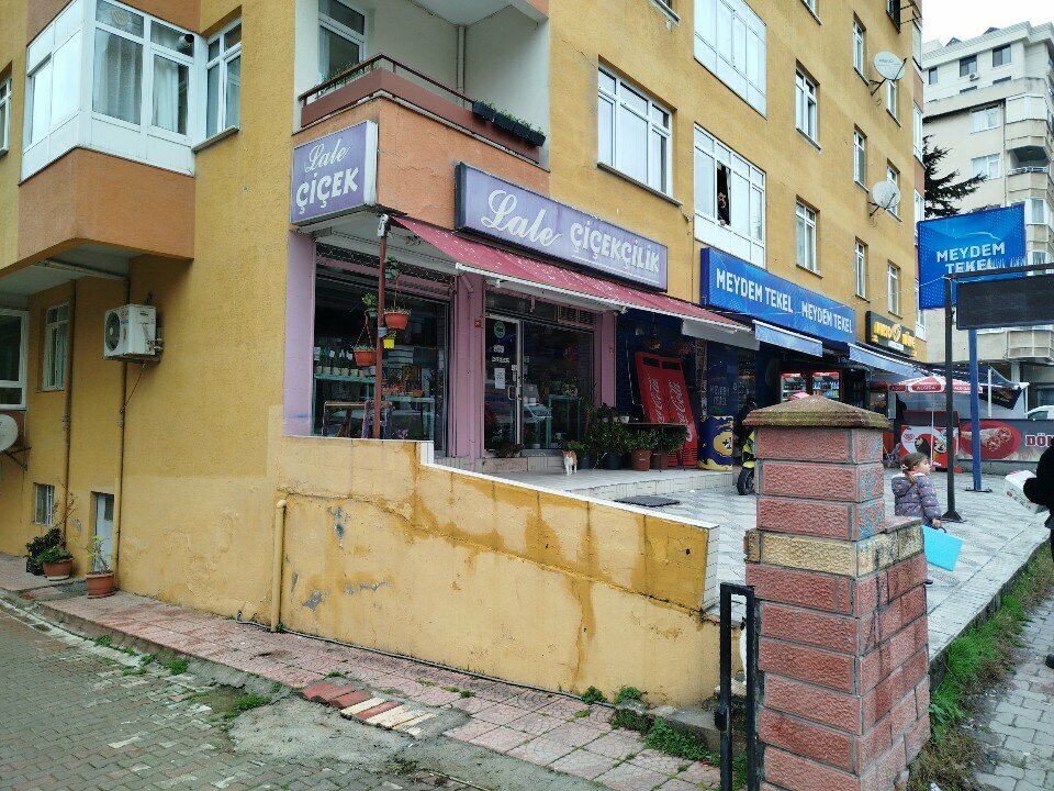 Çiçekçiler Lale Çiçekçilik, İstanbul, foto