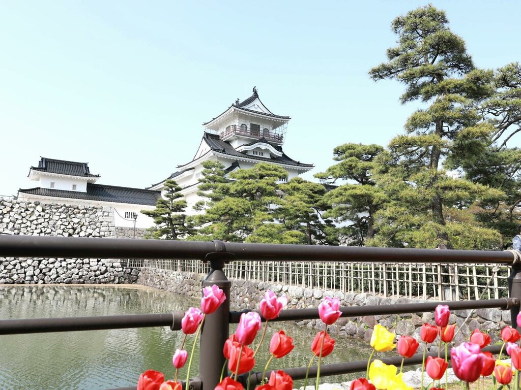 Otel Toyama Town Hotel, Toyama, foto