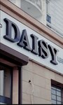 Daisy (11-shi kóshe No:35/2, Jańa Qala shaǵyn aýdany), çiçekçiler  Türkistan'dan