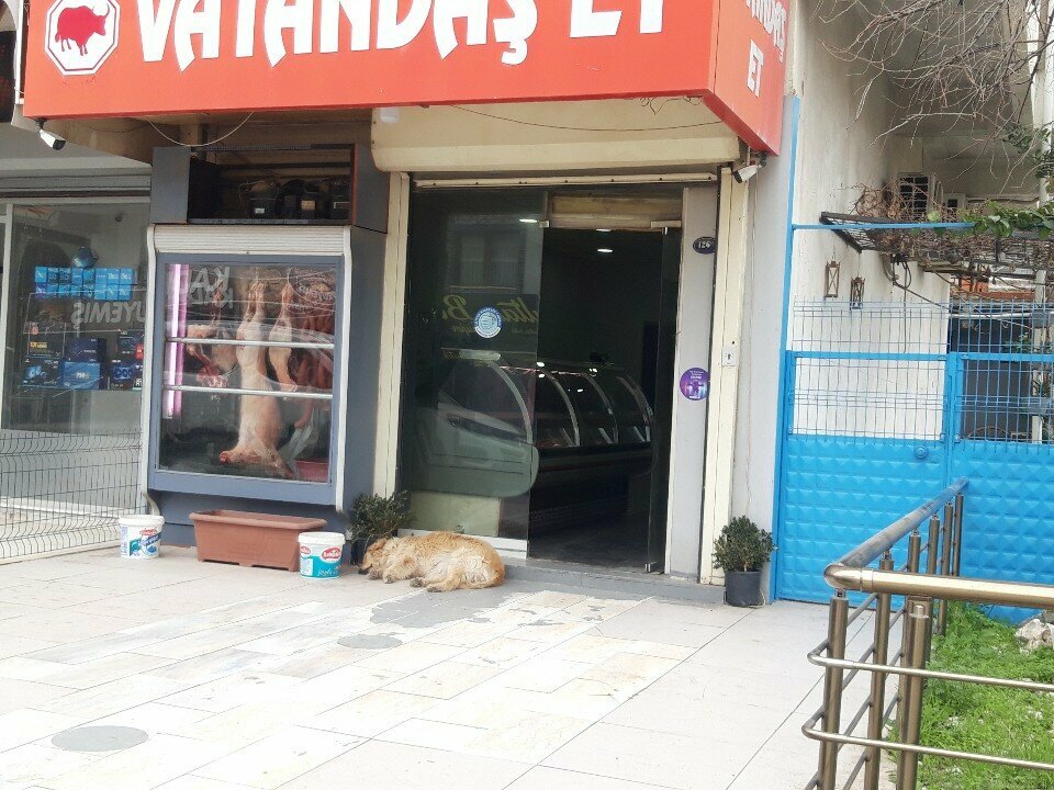 Süt ürünleri satış mağazaları Vatandaş Et, İzmir, foto