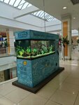 Море желаний (ulitsa Partizana Zheleznyaka No:23), oyun makinesi  Krasnoyarsk'tan