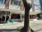 Aydın Oto Kiralama (Ankara, Çankaya, Tunalı Hilmi Cad., 35C), oto kiralama  Ankara'dan