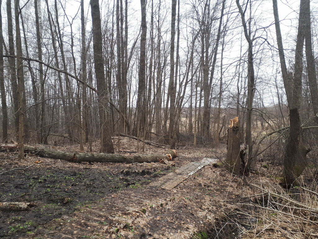 Pınar, çay Чайный ключ, Nijegorodskaya oblastı, foto