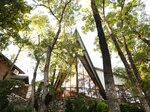Shalash (Sevastopol, 67K-6, 12-y kilometr, 1), restoran  Sevastopol'dan