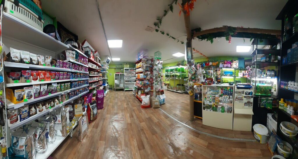 Petshop Benito and Ko, Aluşta, foto
