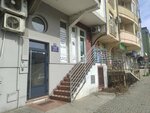 My Pet (Tsar Lazar Boulevard No:100), petshop  Novi Sad'dan