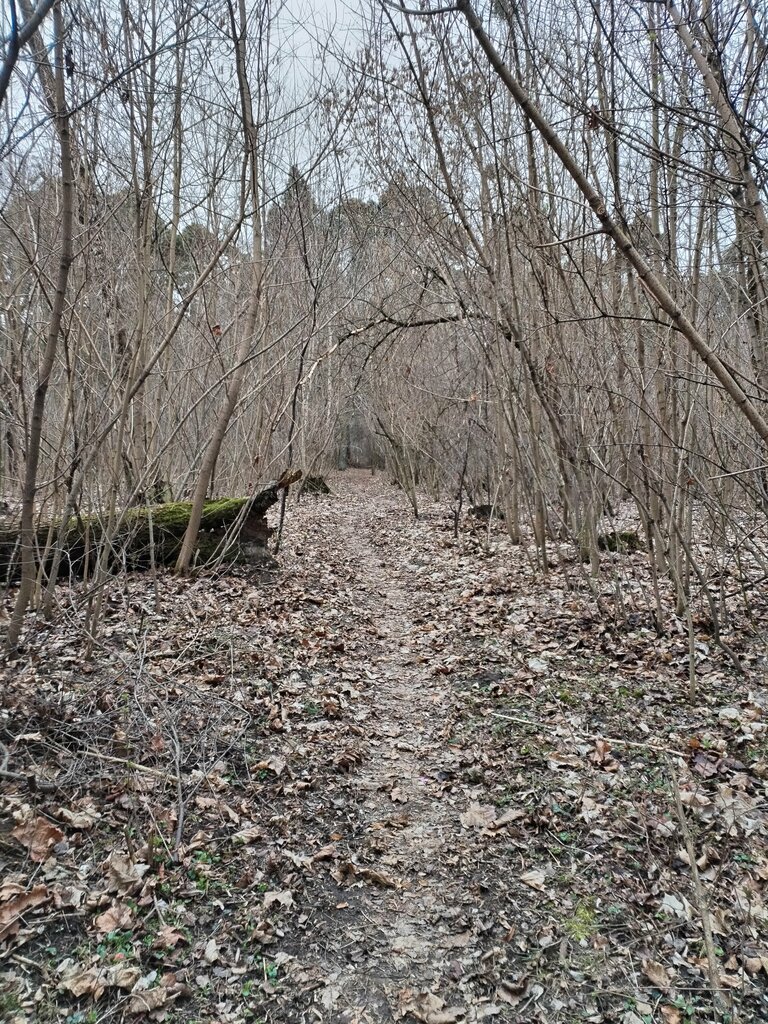 Kültür ve eğlence parkları парк Победы, Ivacevichi, foto