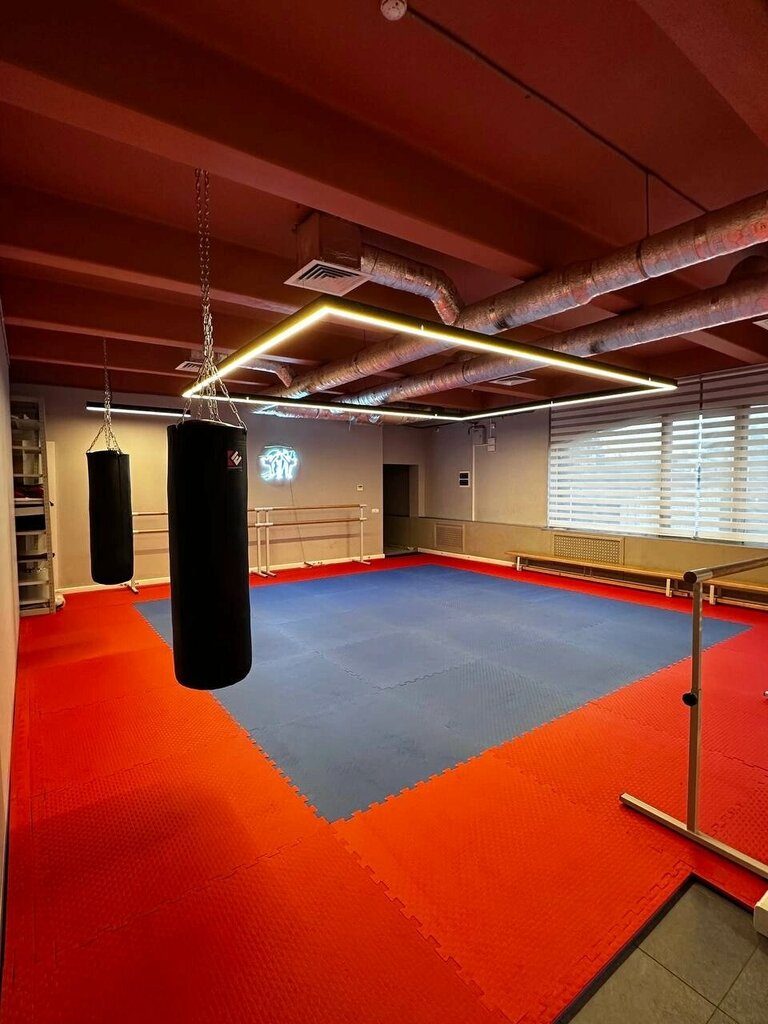 Spor kulüpleri Окинавское каратэ Уэчи-Рю, Saint‑Petersburg, foto