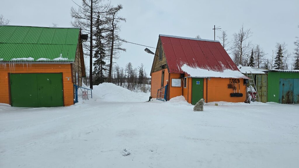 Tatil köyleri Турбаза Надежда, Krasnoyarski krayı, foto