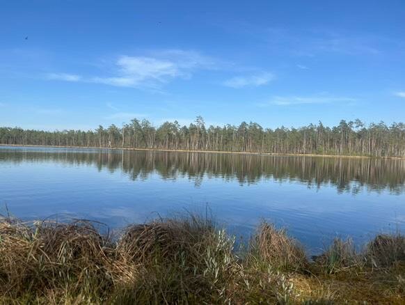 Doğa Геологический памятник природы Чертова гора Поречская, Grodnenskaya oblastı, foto