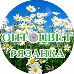 OptCvet (Ryazansky Avenue No:58/1), çiçekçiler  Moskova'dan
