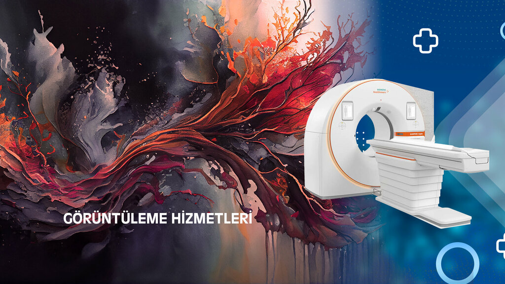 Yönetim ofisi Barışlar Medikal, Ankara, foto