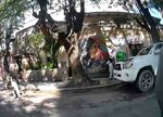 Cofred (Department of Cochabamba, Provincia de Cercado, Cochabamba, Calle Pasteur, 257), medikal cihaz firmaları  Cochabamba'dan