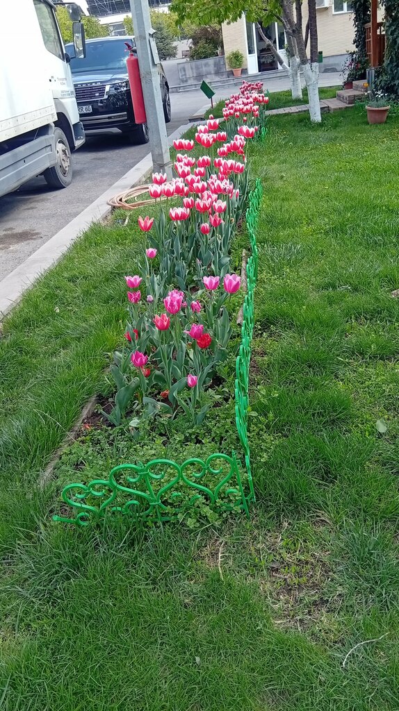 Plastik ve polimer firmaları Oval plastic, Erivan, foto