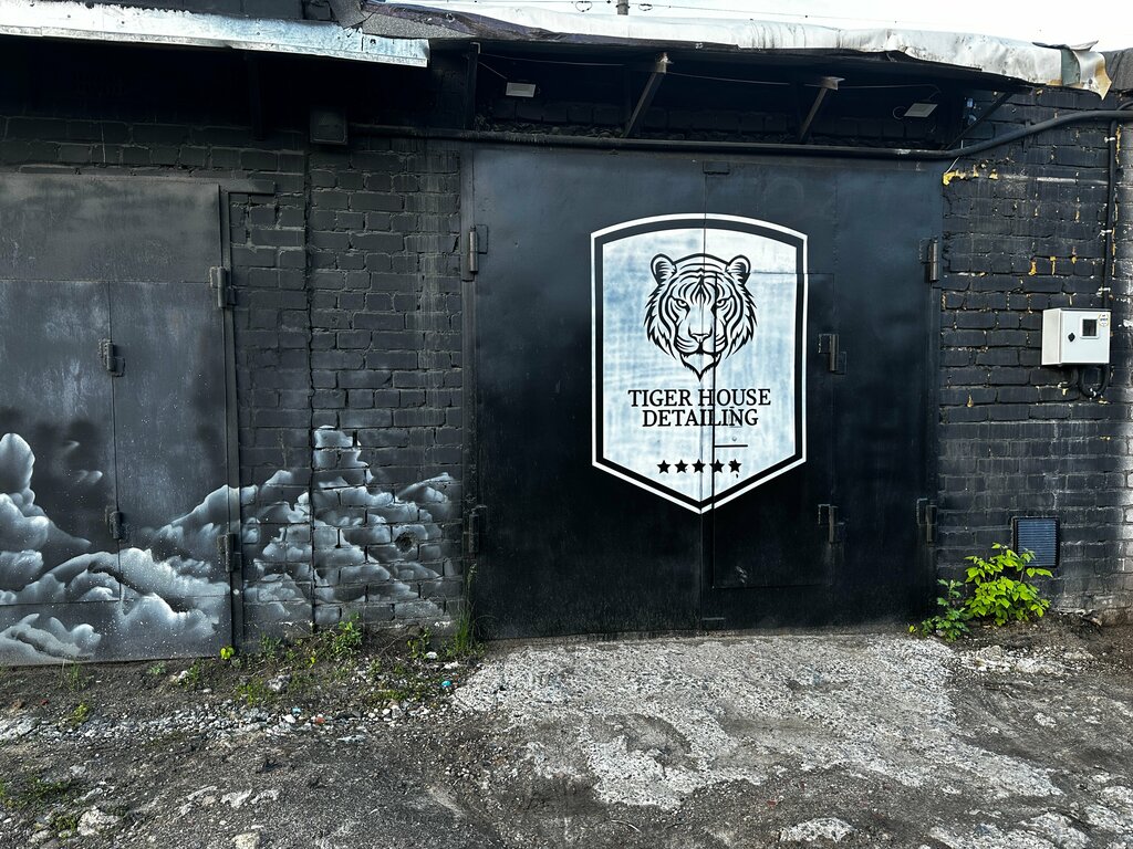 Detaylı oto bakımı Tiger House, Nijni Novgorod, foto