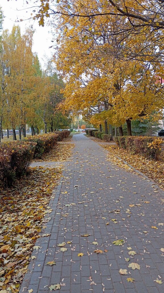 Kültür ve eğlence parkları Ворошиловский бульвар, Voronej, foto