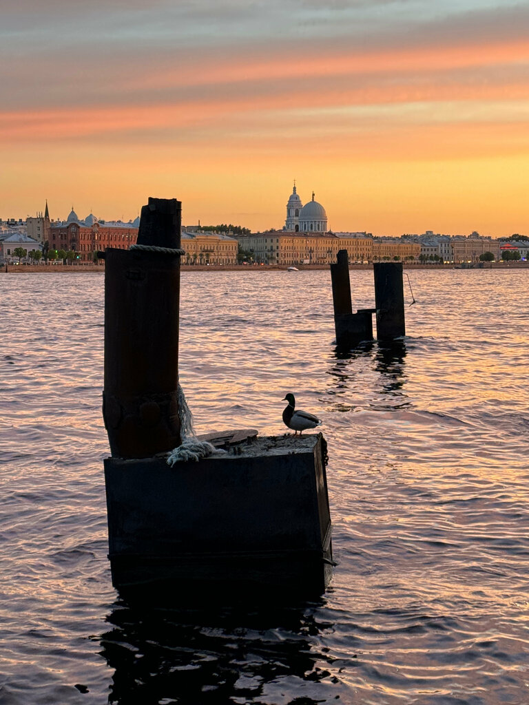 i̇skele Jetty , Saint‑Petersburg, foto