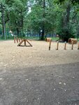 Площадка выгула собак (Moscow Region, Khimki, Recreation and Culture Park named after L.N. Tolstoy), köpek gezdirme alanları  Himki'den