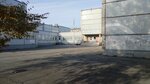 Junior Jam (Komsomolskaya ulitsa No:31), spor kulüpleri  Berdsk'ten