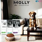 Petpretty (İstanbul, Bahçelievler, Yenibosna Merkez Mah., 29 Ekim Cad., 19), petshop  İstanbul'dan