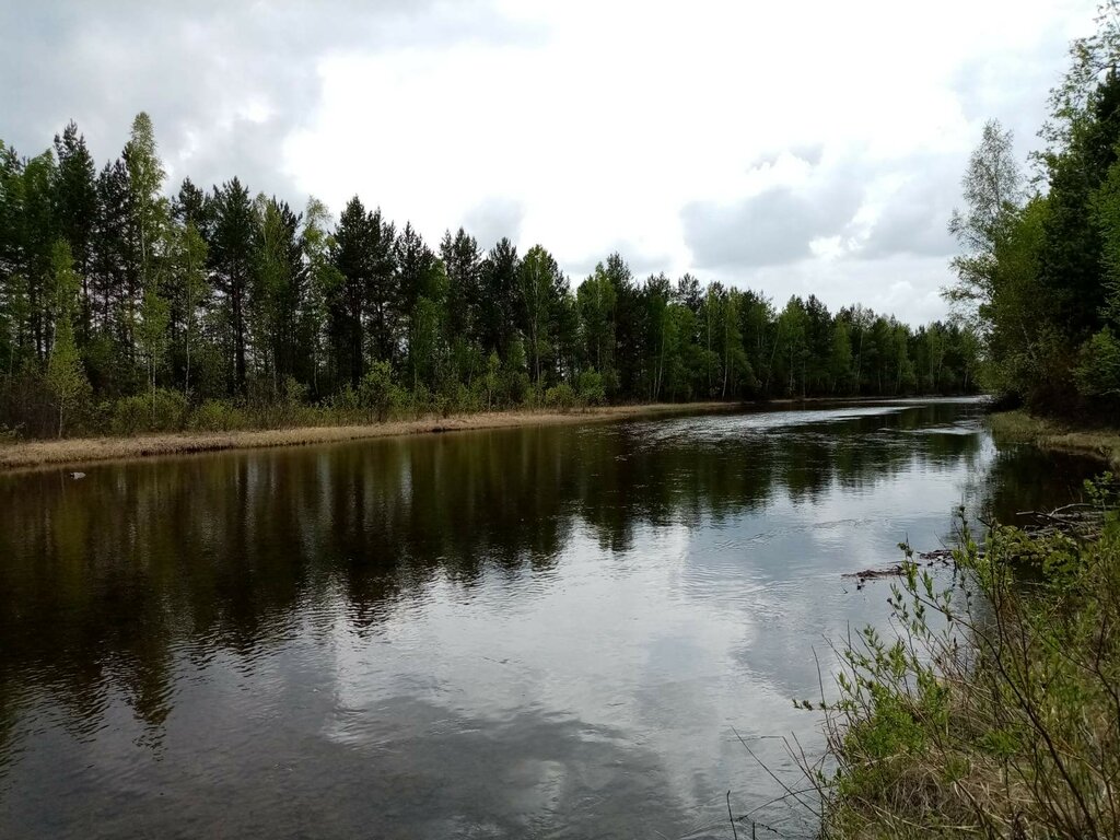 Yaz kampı Детский оздоровительный лагерь Меридиан, Krasnoyarski krayı, foto