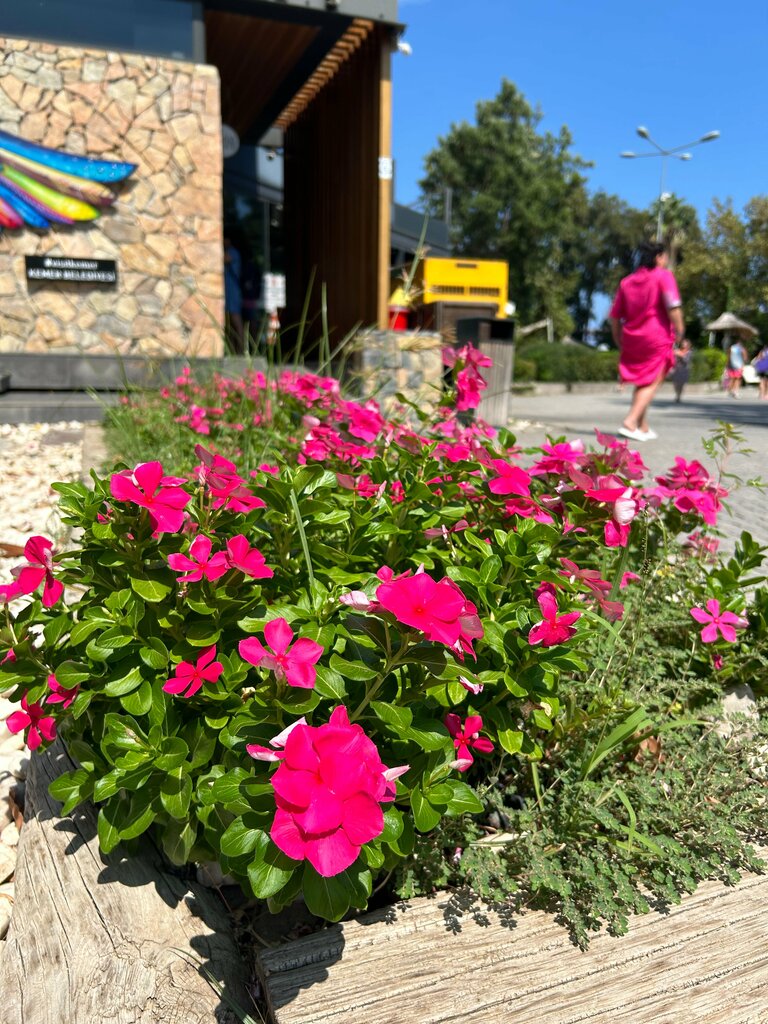 Kahve dükkanları Schiller Kaffee & Kemer, Kemer, foto