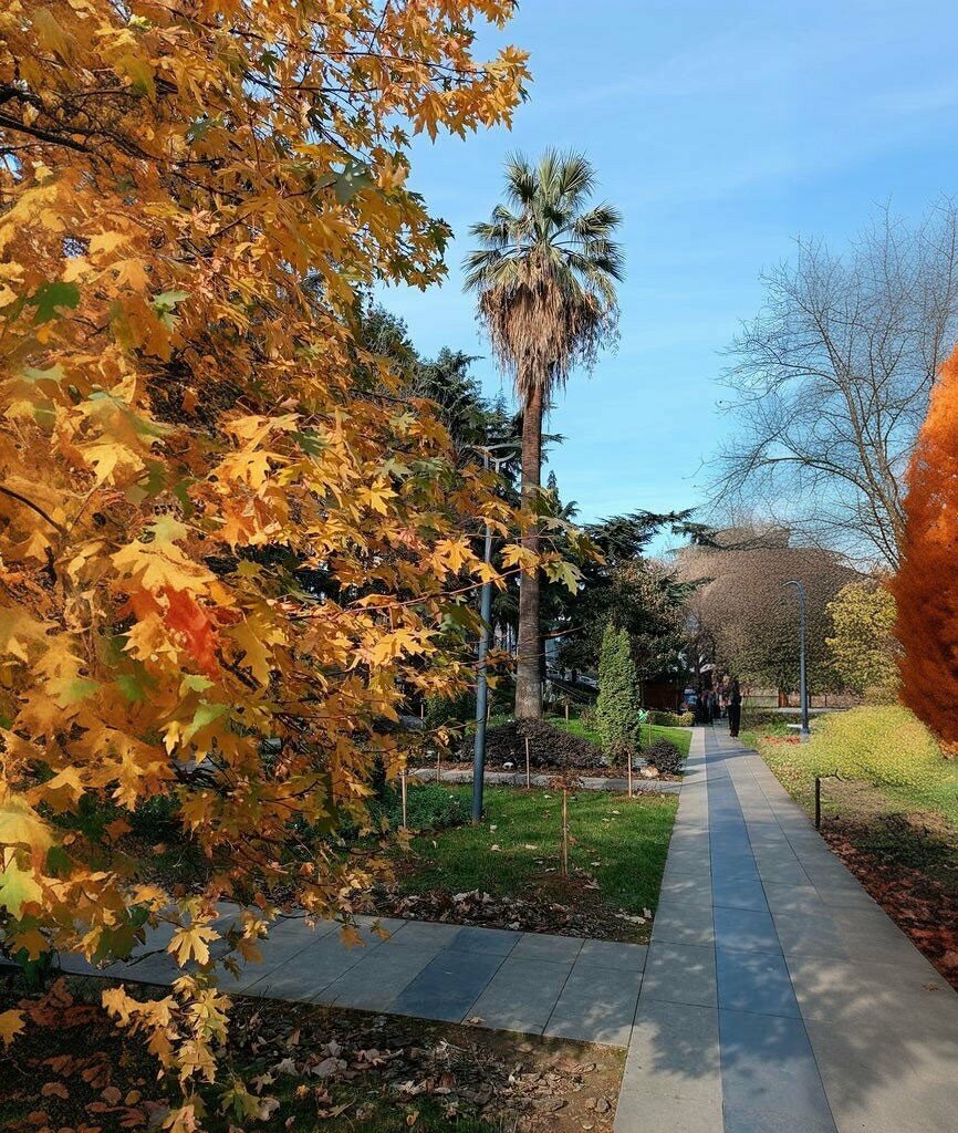 Kültür ve eğlence parkları Fatih Parkı, Ortahisar, foto